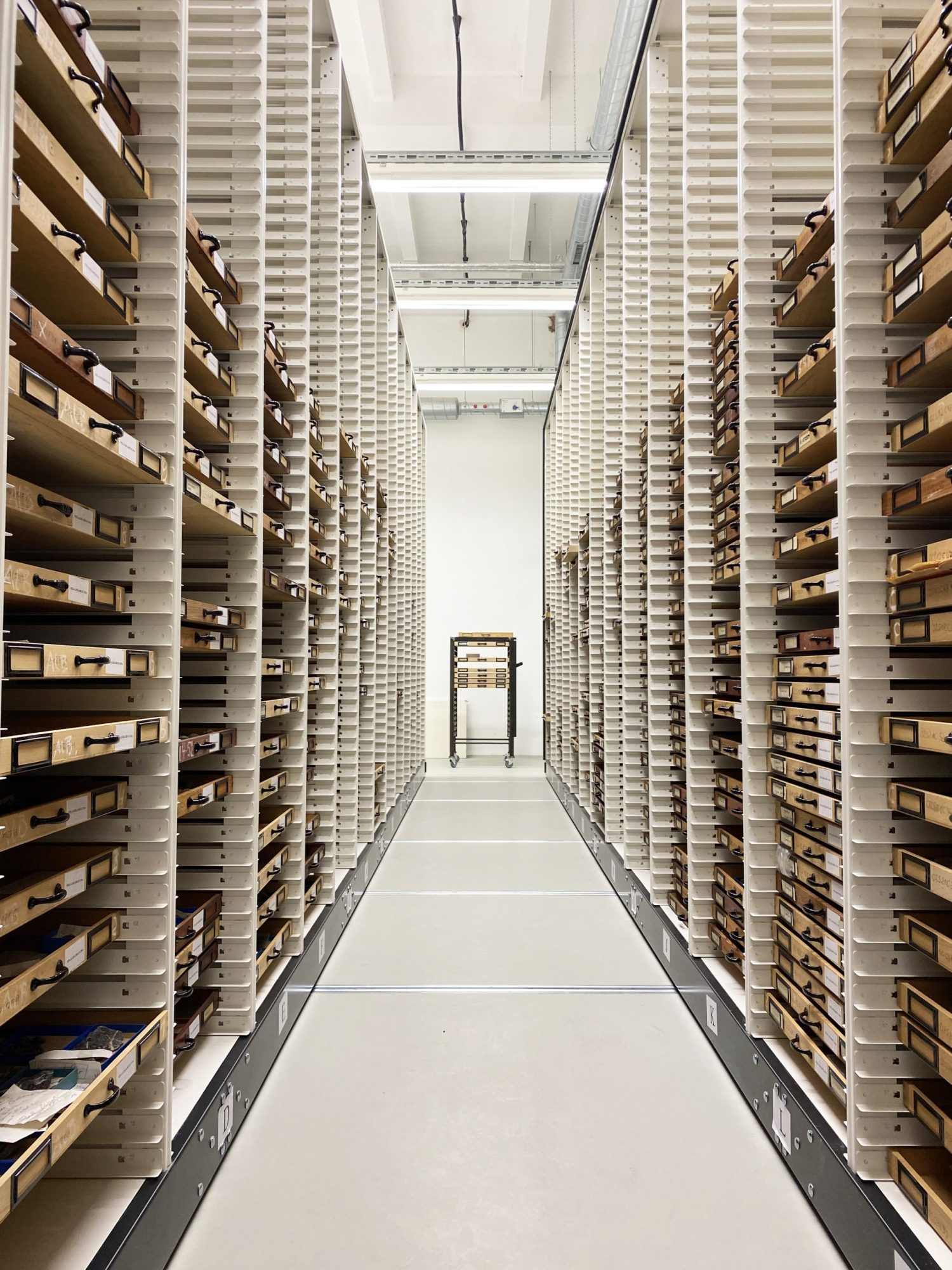 Prizes & Awards • Palaeo VC