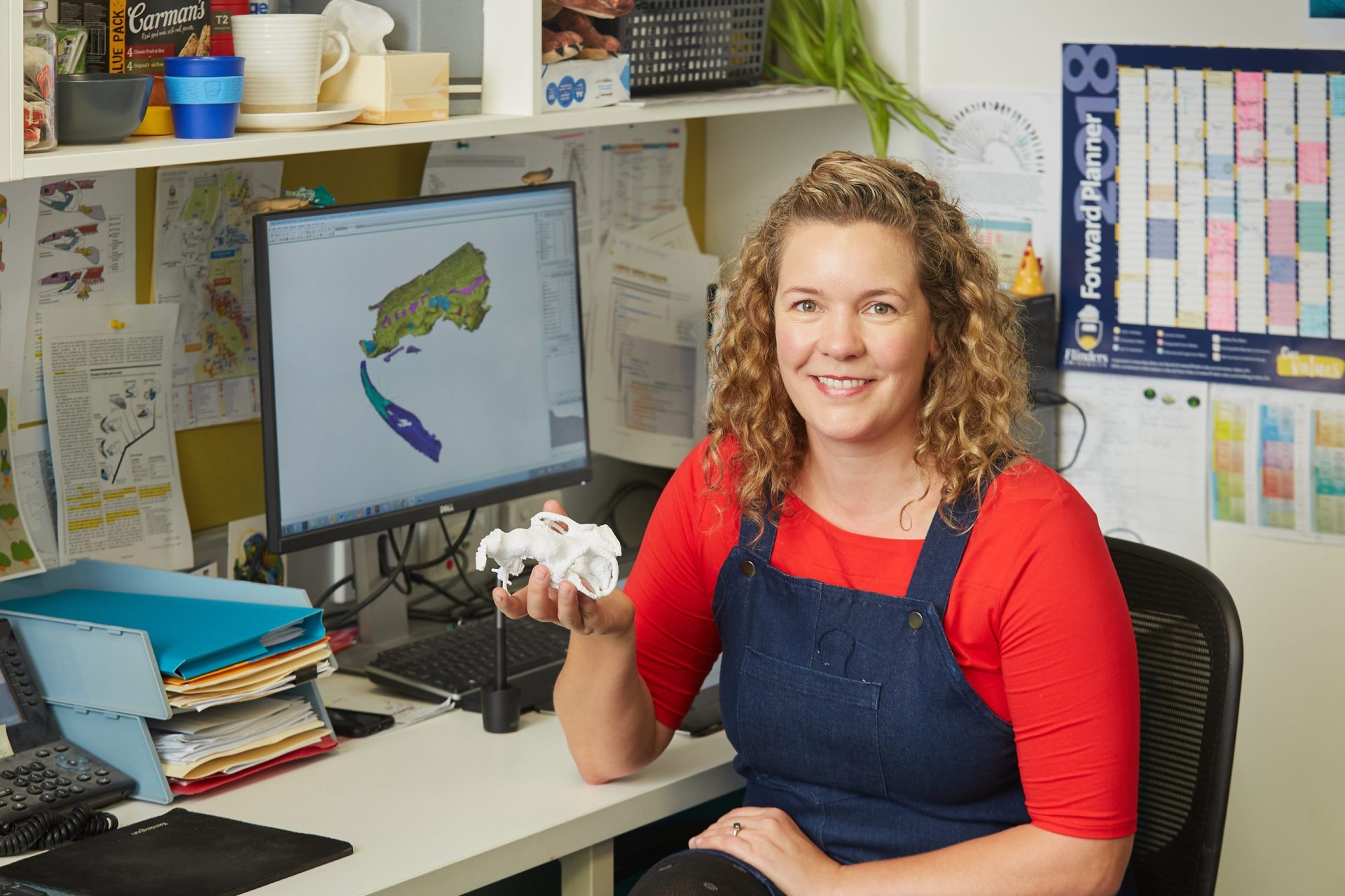 Alice Clement • Palaeo VC