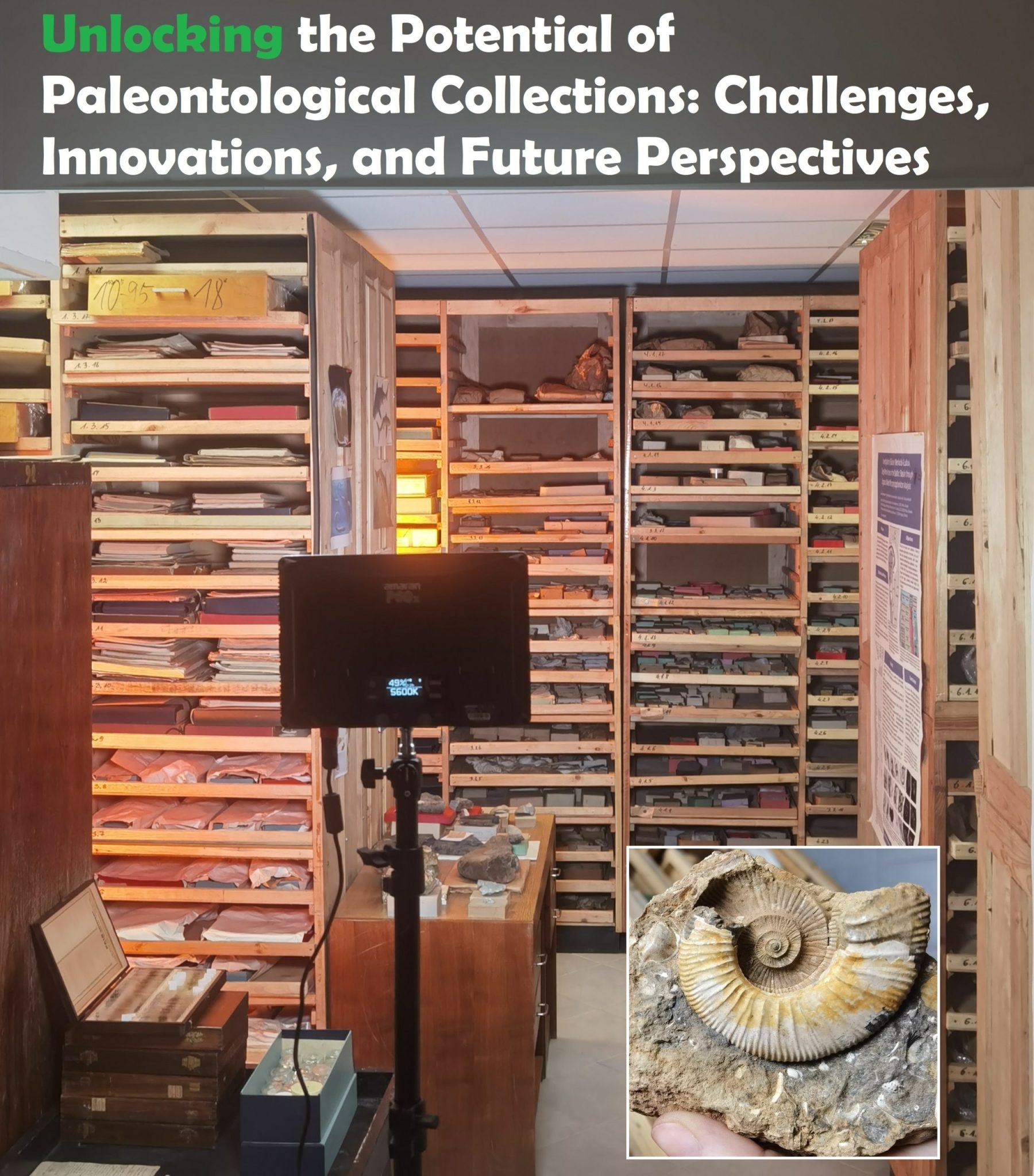 Unlocking the Potential of Palaeontological Collections: Challenges ...
