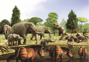 Quaternary Megafauna in South America • Palaeo VC